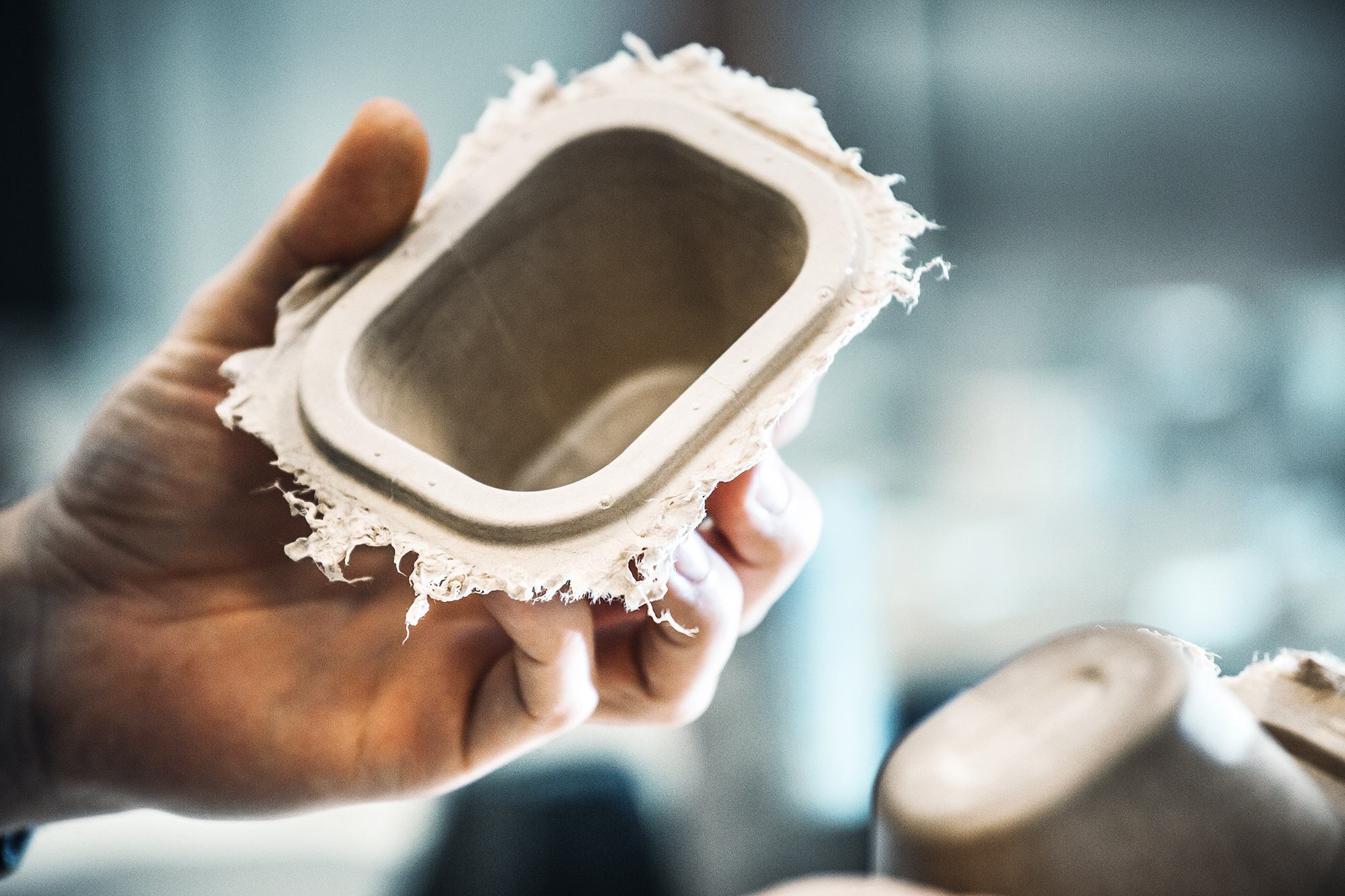 Cellulose Pulp Packaging: Current and Emerging Technologies for ...