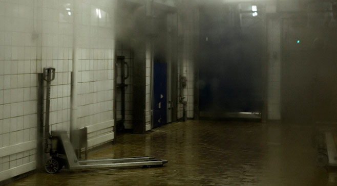 Building damage and condition - Moisture in buildings - Danish ...