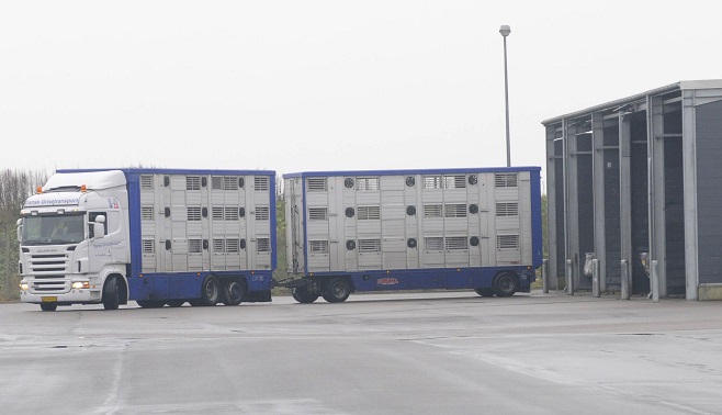 Transport of live animals - Danish Technological Institute