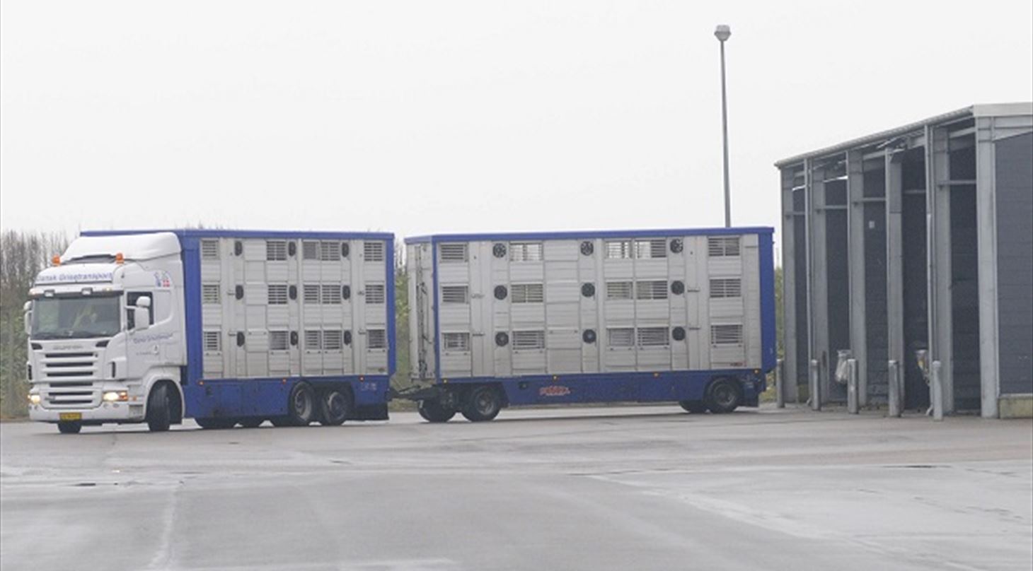 Transport of live animals - Danish Technological Institute