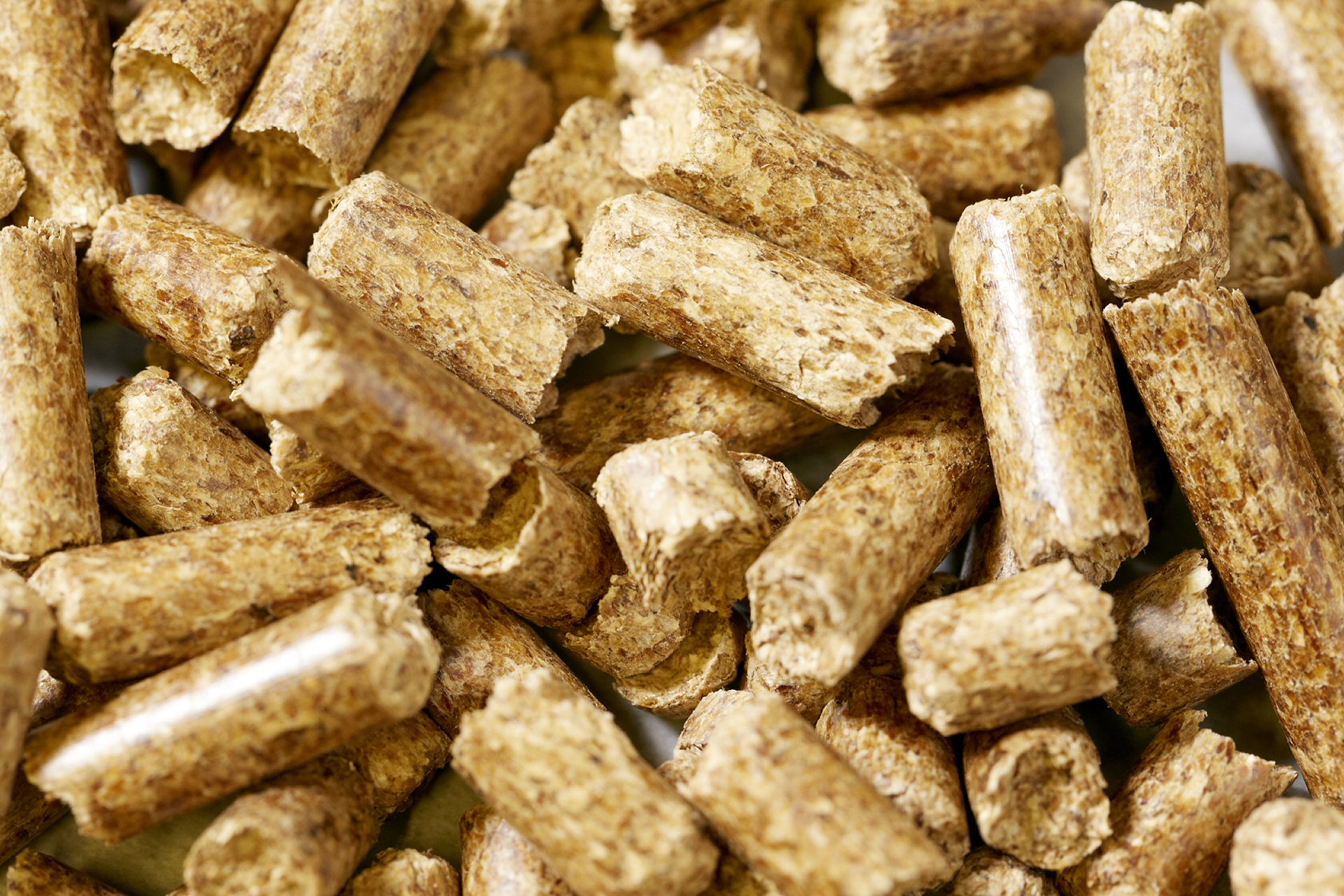 Pelletizing - Danish Technological Institute