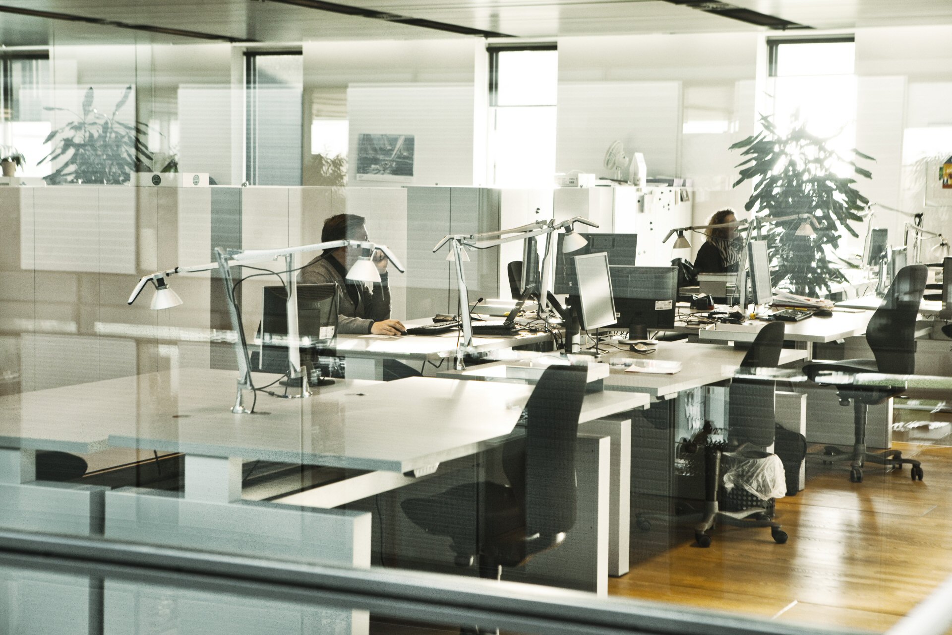 Environment, working environment and health - Danish Technological ...