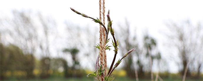 Hops at heights: DTI is developing a drone that will create a whole new ...