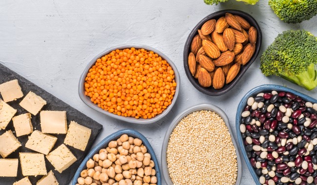 Alternative proteins - Danish Technological Institute