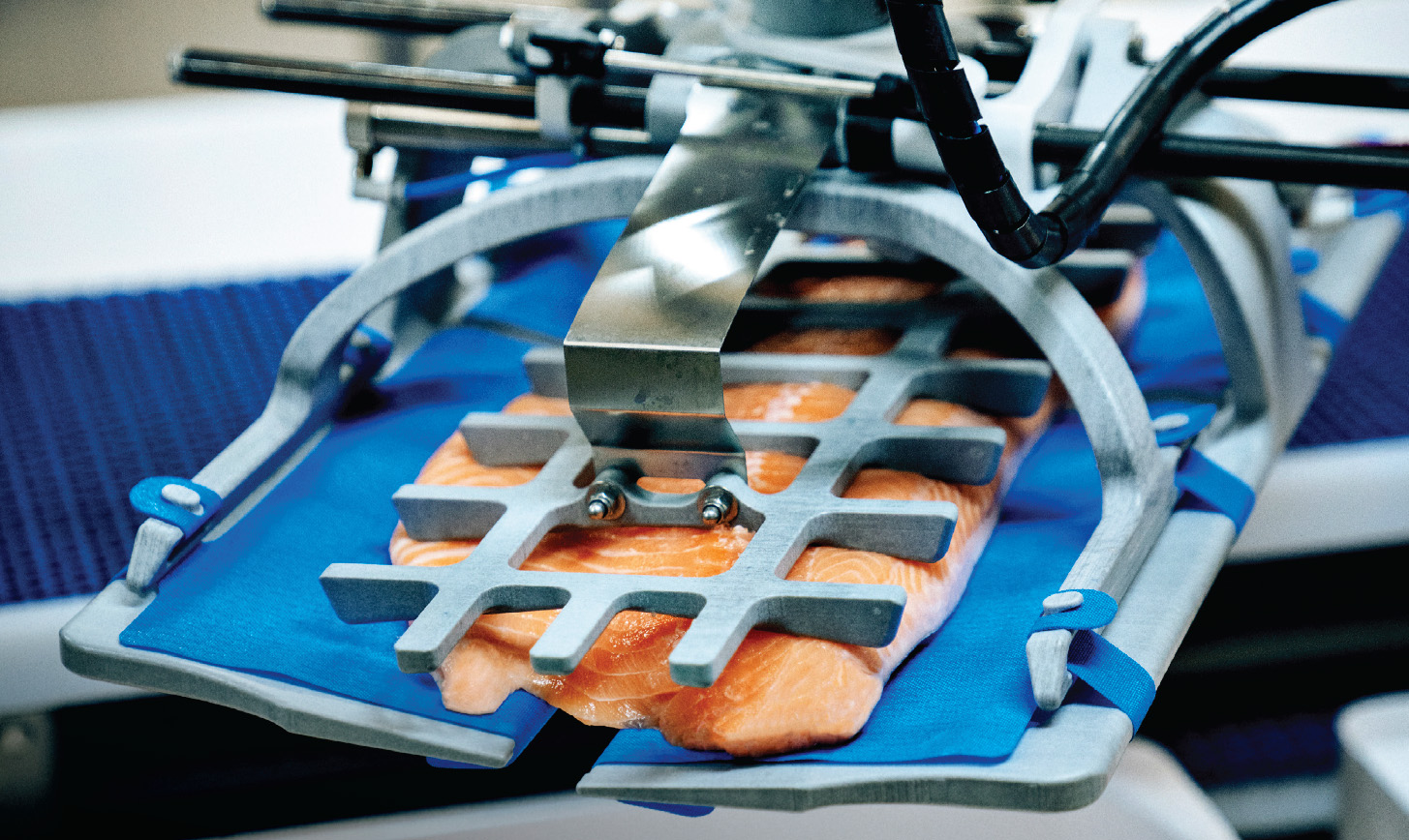 Salmon side gripper was 3D-printed in metal-detectable nylon - Danish ...