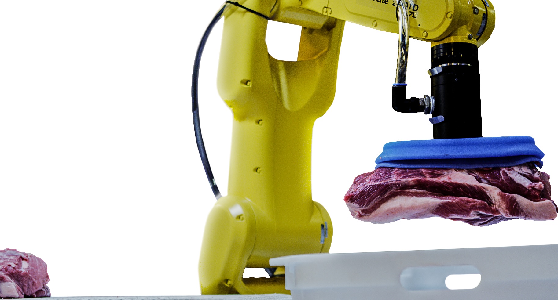 Food Automation - Danish Technological Institute