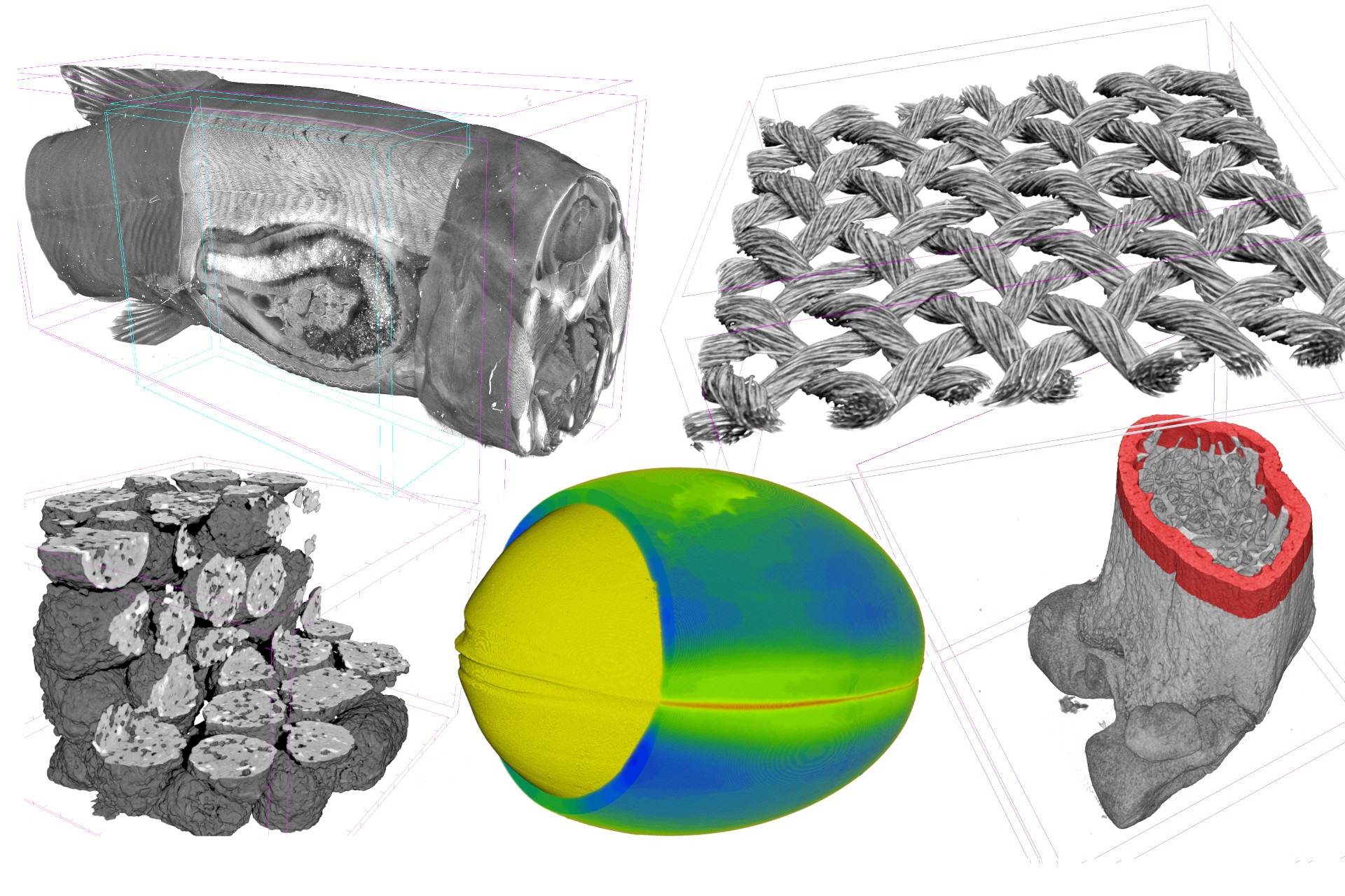 Imaging of biological and medico materials - Synchrotron Tomography ...