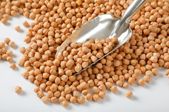 Biofermentation in Industry - Danish Technological Institute