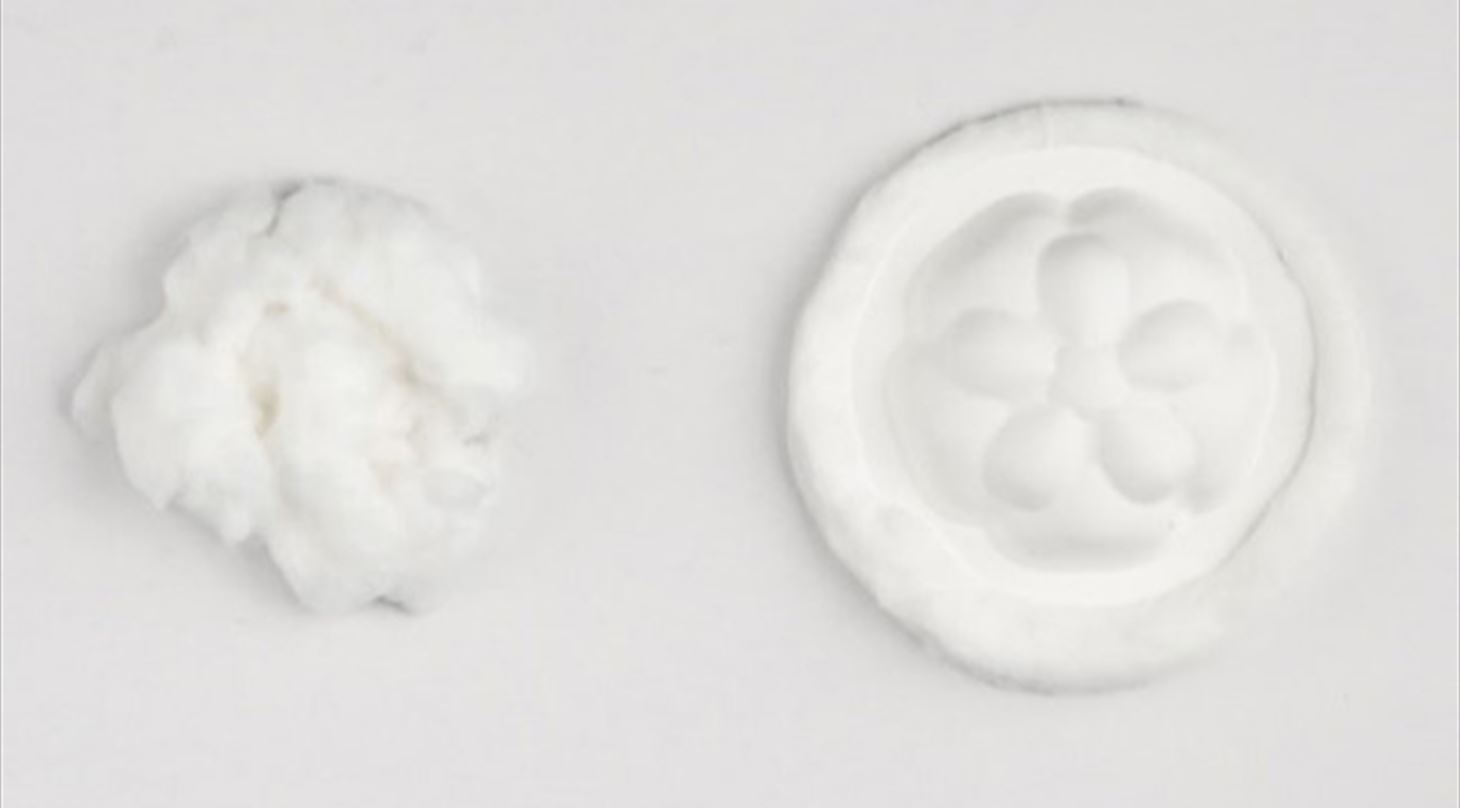 Optimizing a novel cellulose dry-forming method - Danish Technological ...