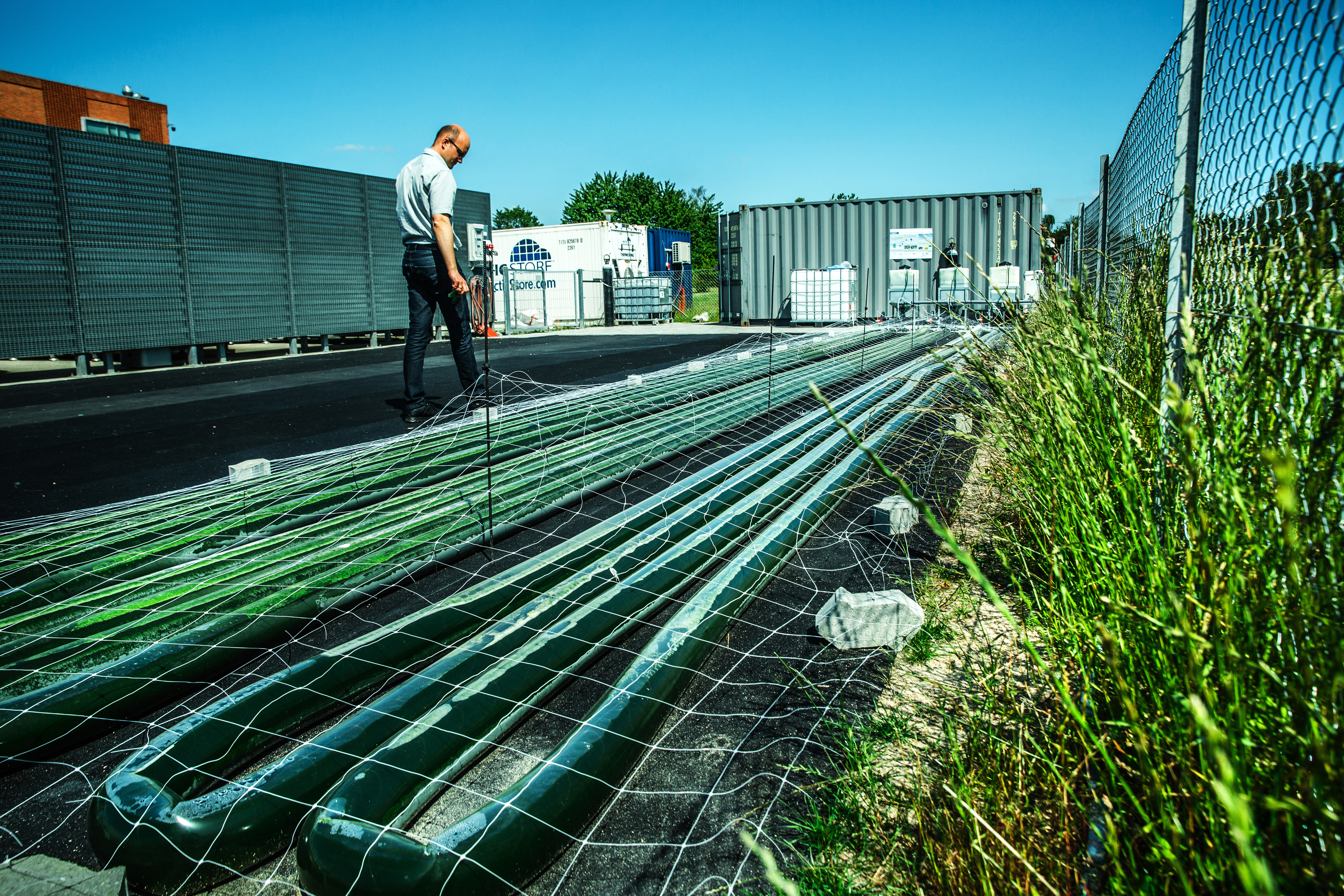 Microalgae Services - Projects - Danish Technological Institute