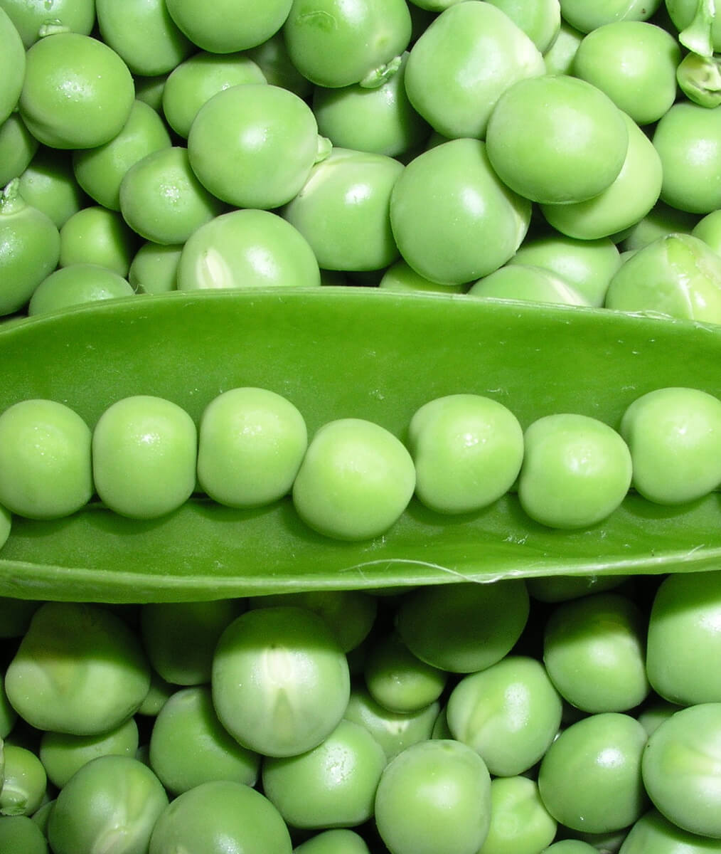 Sustainable Food production - Danish Technological Institute