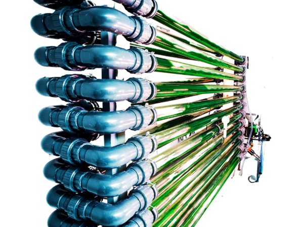 Microalgae Facilities - Danish Technological Institute