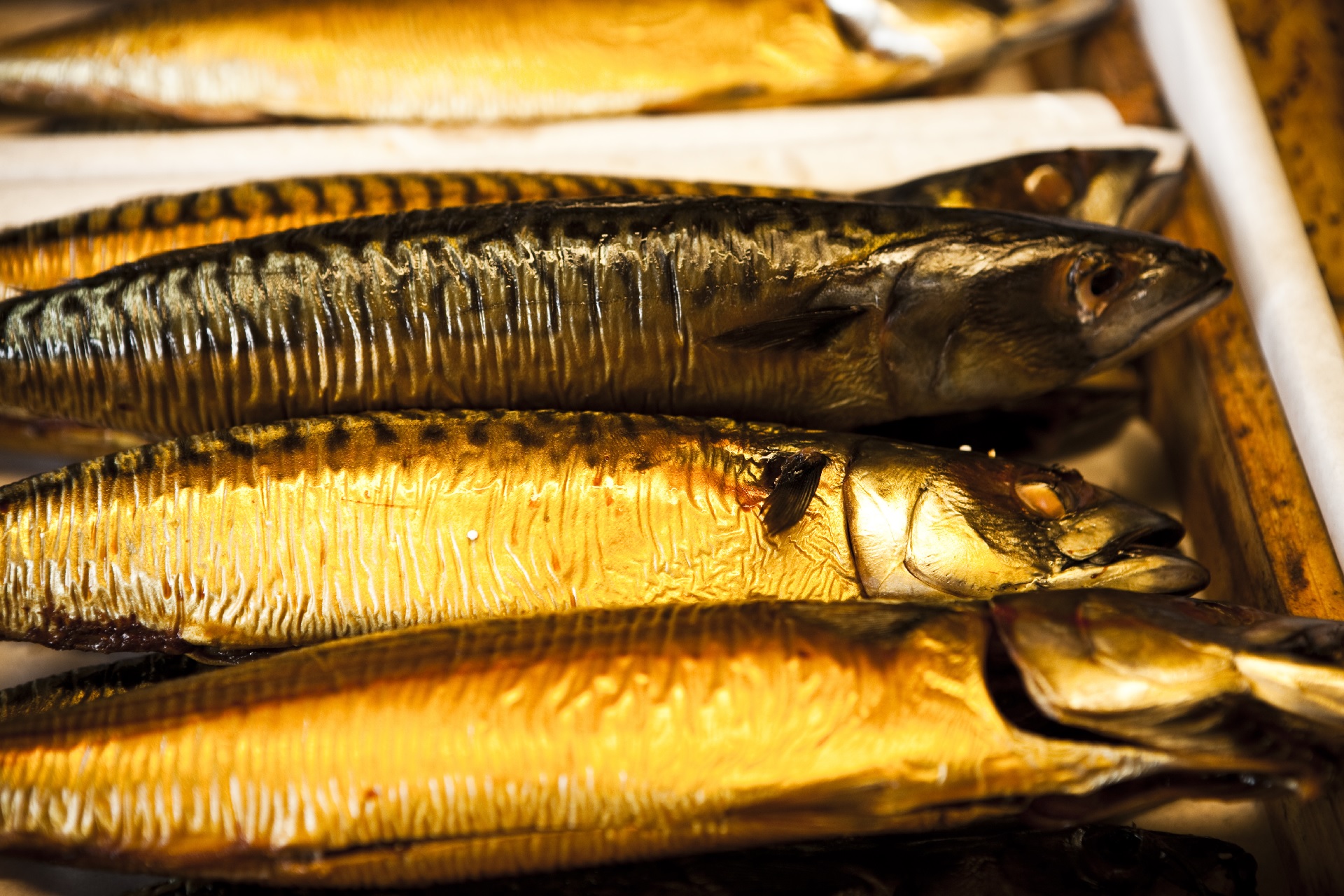 Chemical analyses - fish - Danish Technological Institute