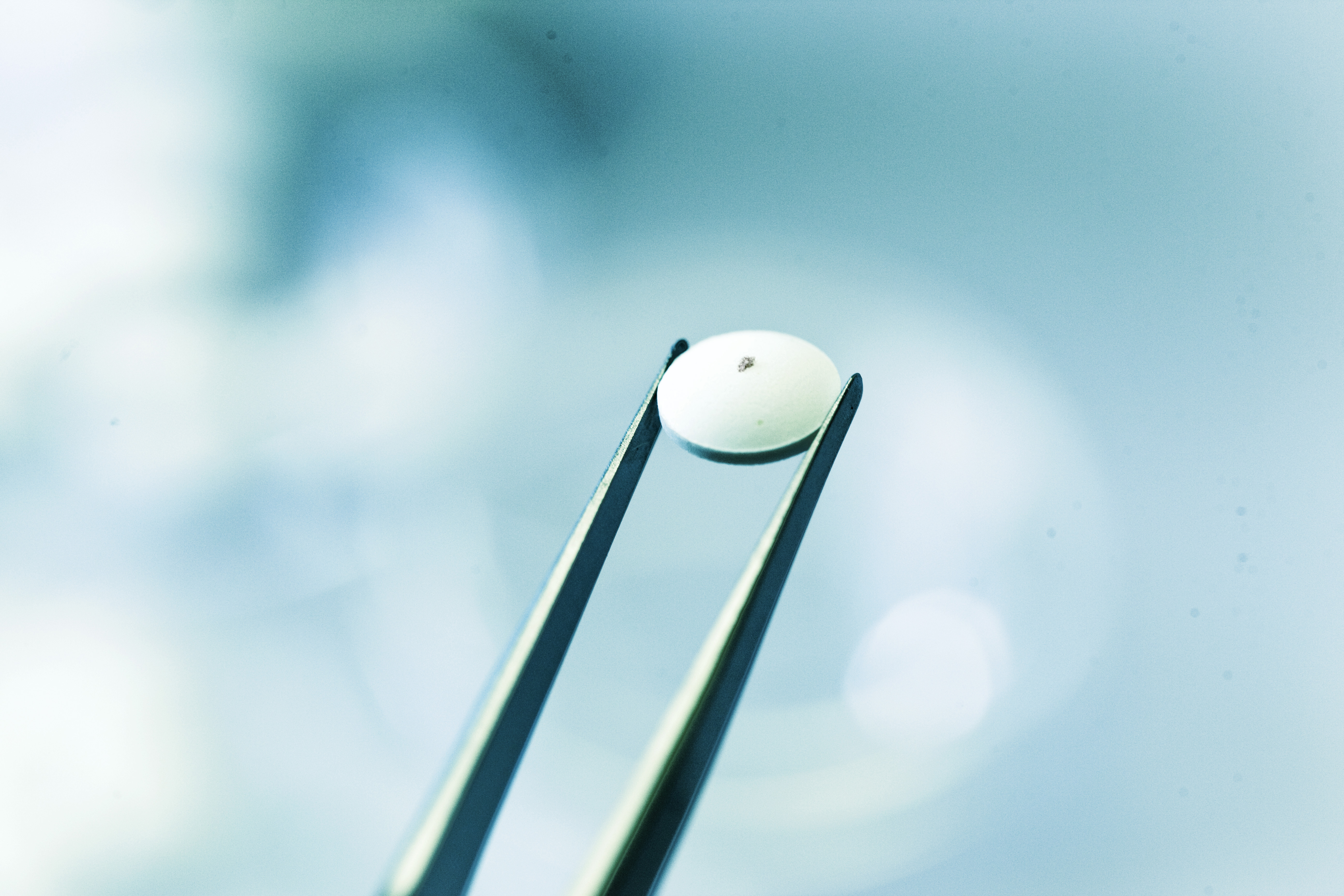 Identification of foreign material - Accredited Analysis - Danish ...