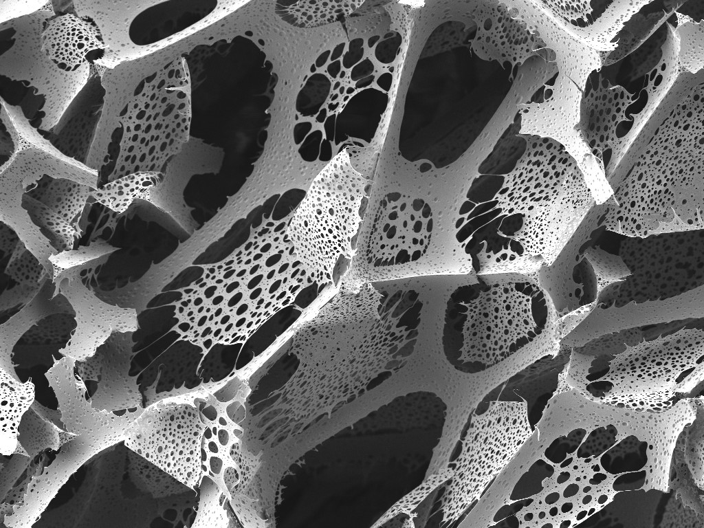 Understanding Porosity at Danish Technological Institute - Danish ...