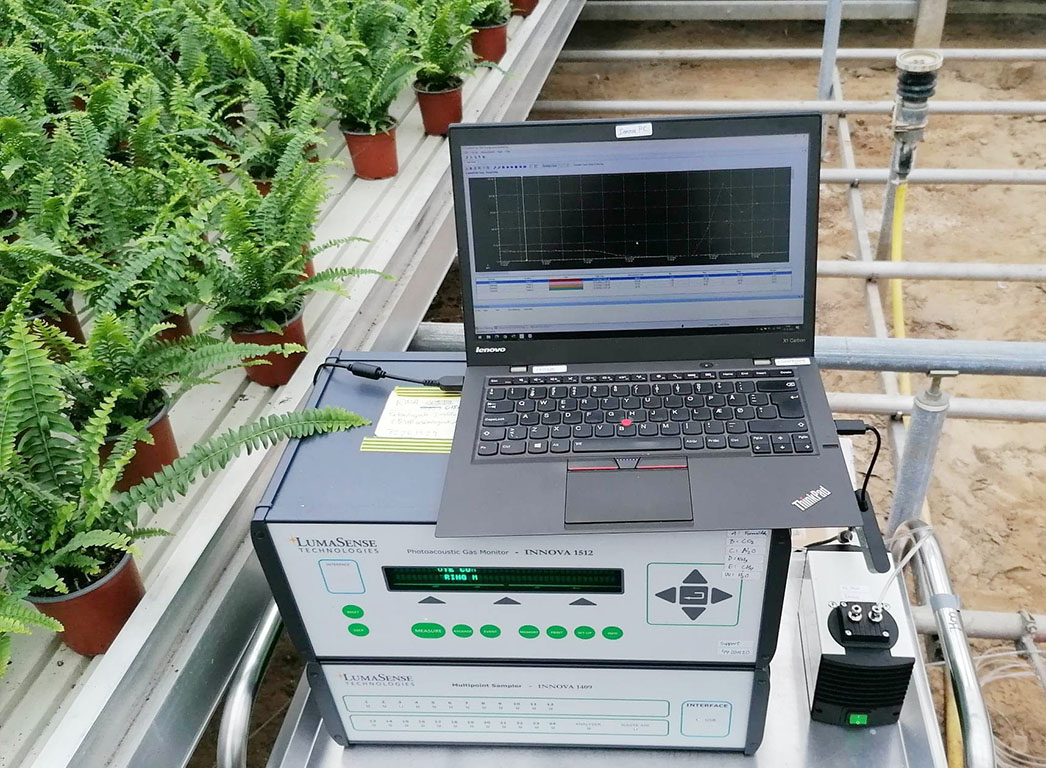 Sensor system warns of gray mold in greenhouses - Danish Technological ...