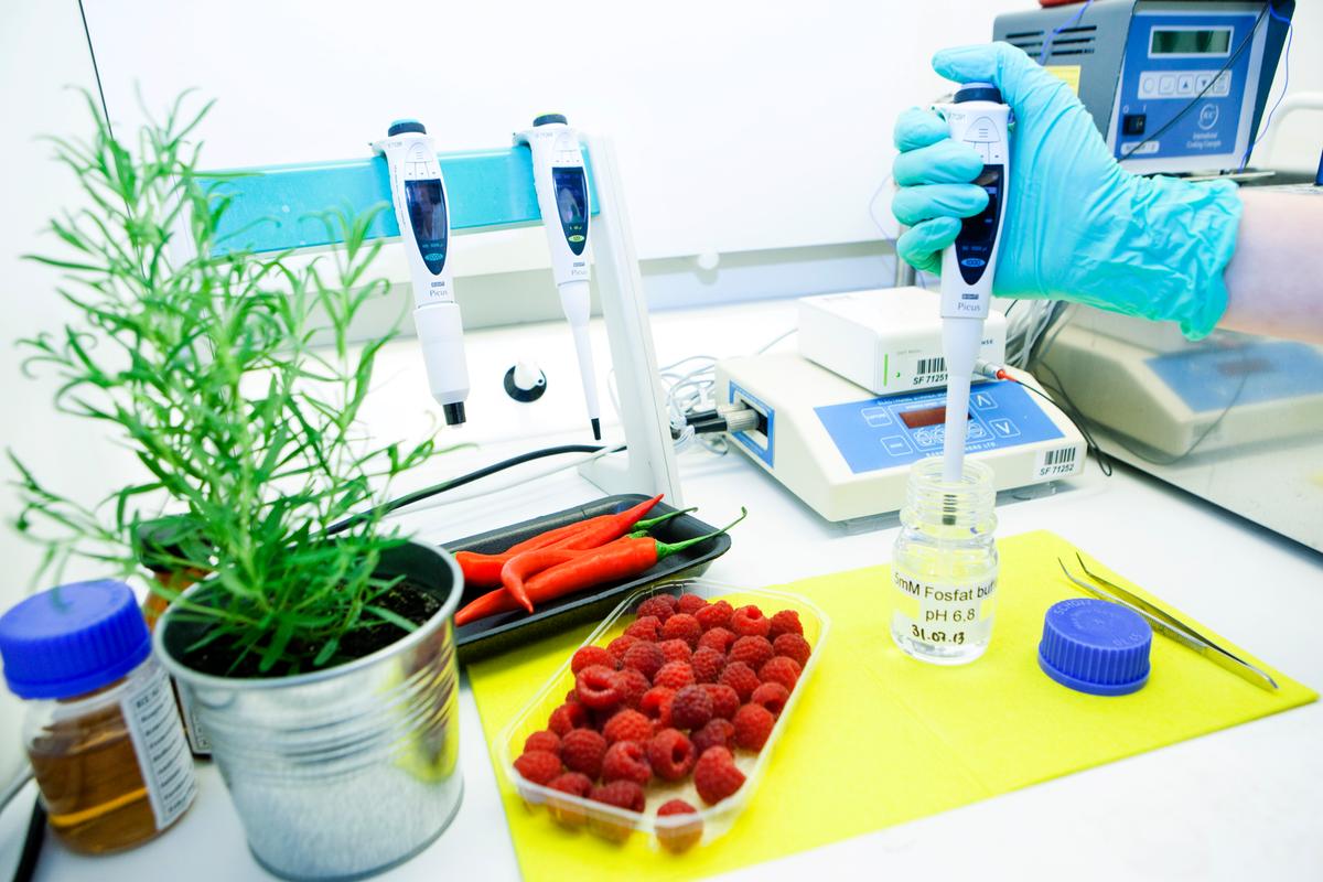 Standard chemical analyses of food - Danish Technological Institute
