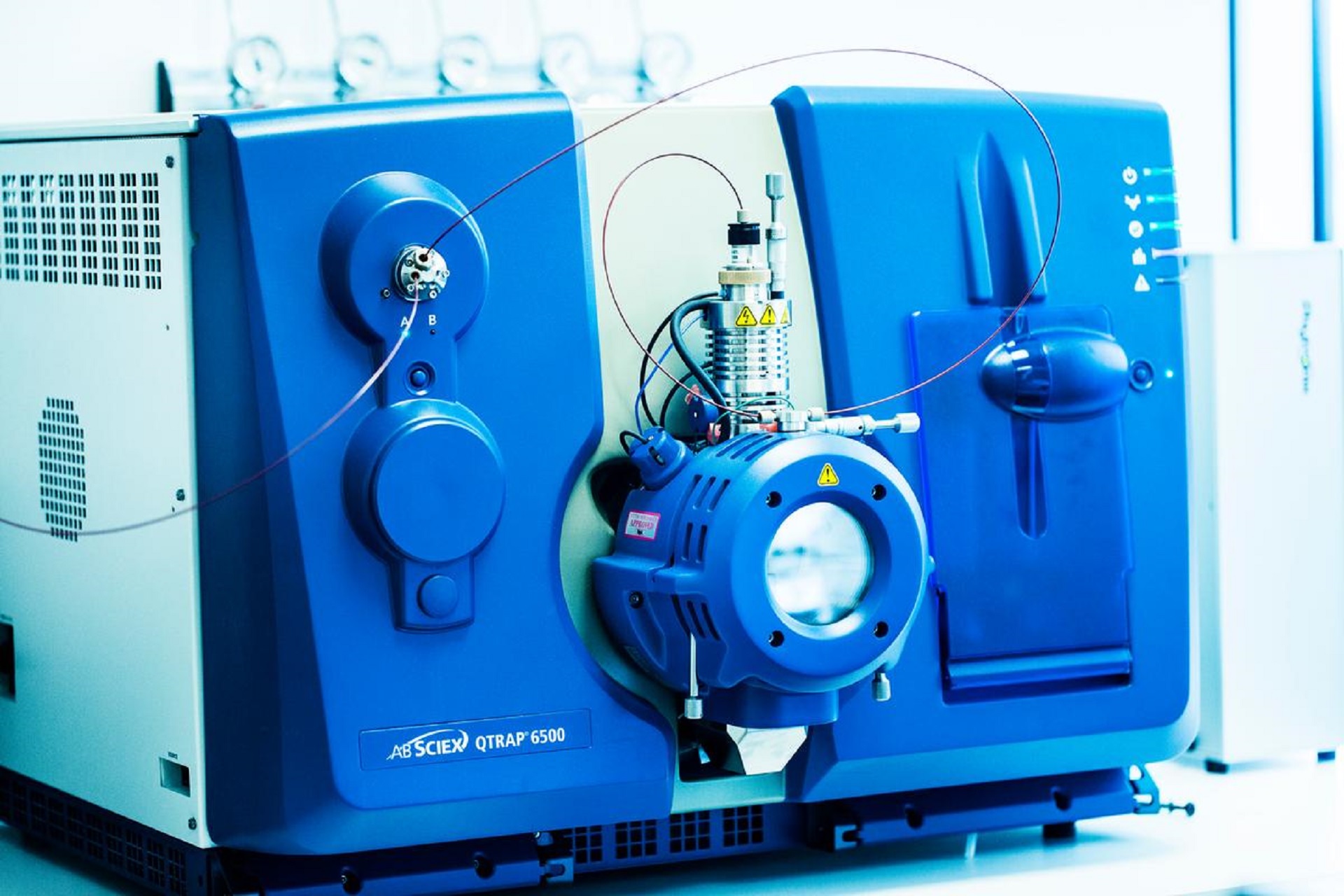 Chemical analyses of boar taint - Danish Technological Institute