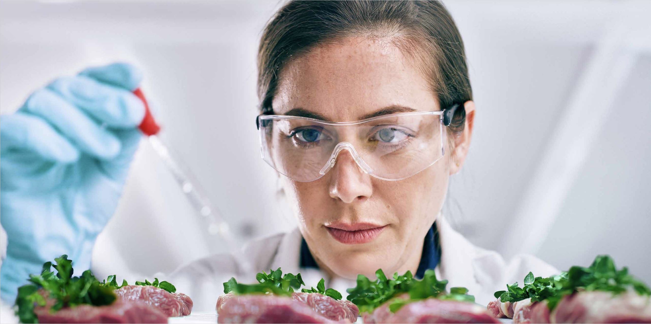 Technology for meat and novel proteins. Transforming food production at ...