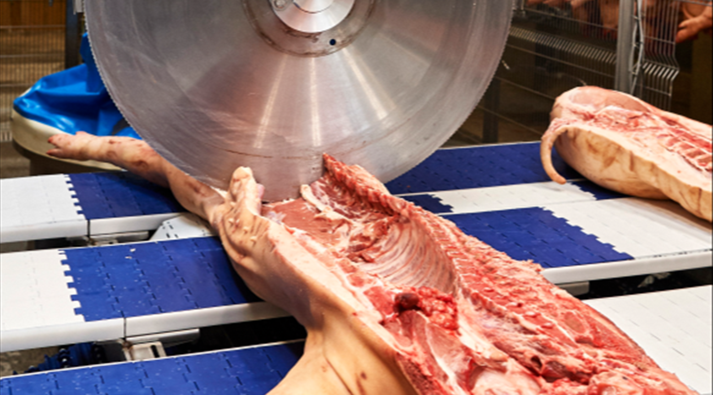 5. Primal cut inspection - by vision solution - Danish Technological ...
