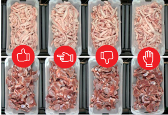 7. AI inspection of pork cutting quality - Danish Technological Institute