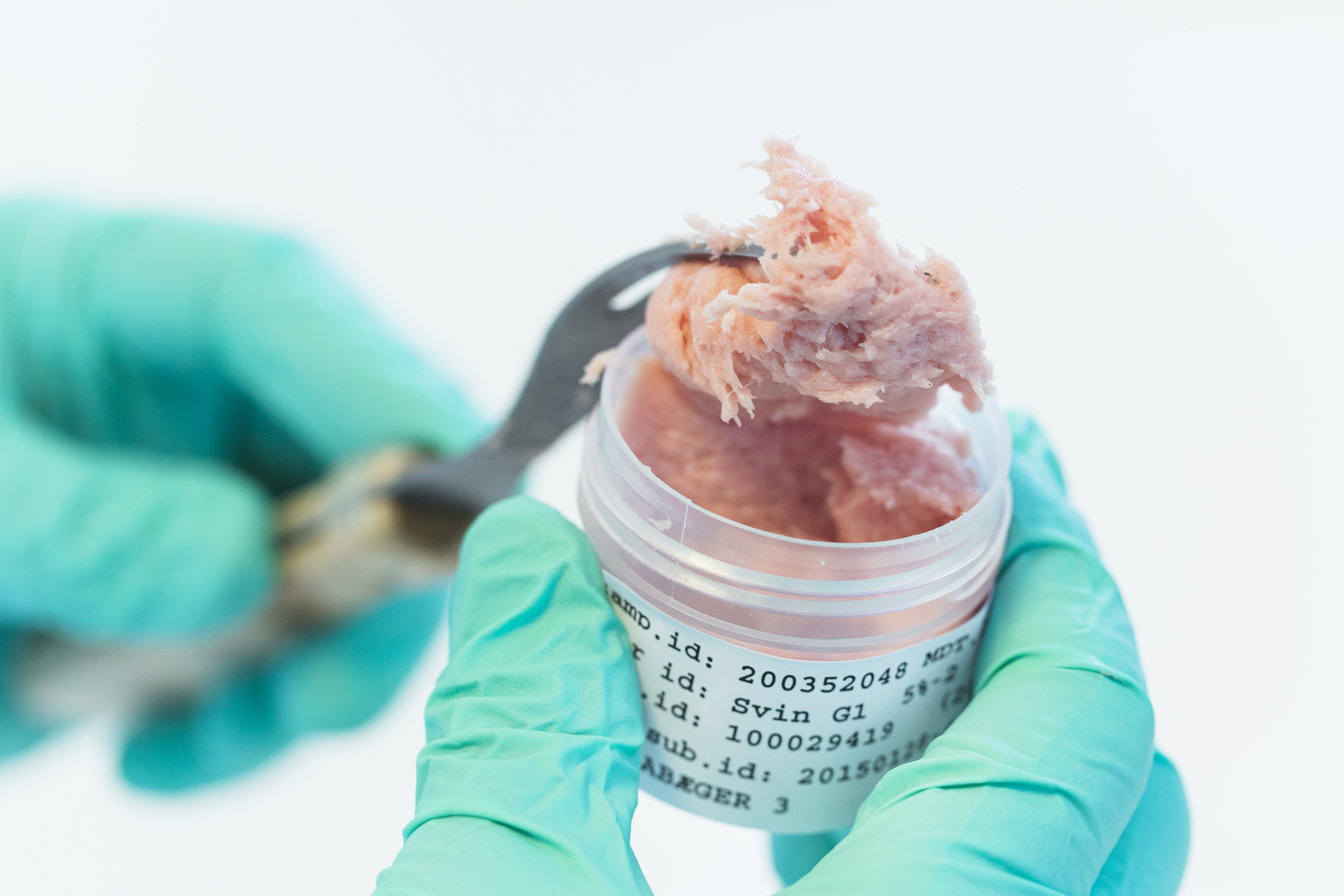 Chemical analysis - meat - Danish Technological Institute