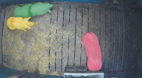 Sow and piglet monitoring - Danish Technological Institute