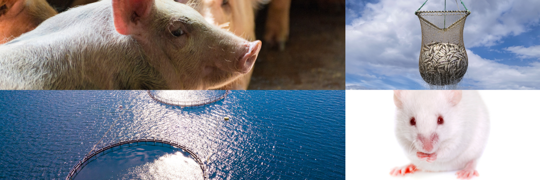 Real time monitoring of production and research animals - Danish ...